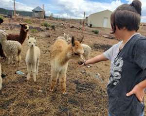 Services – Southern Peaks Regional Treatment Center